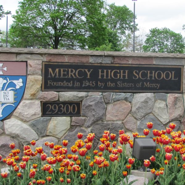 Mercy Schools – Mercy Education System of the Americas